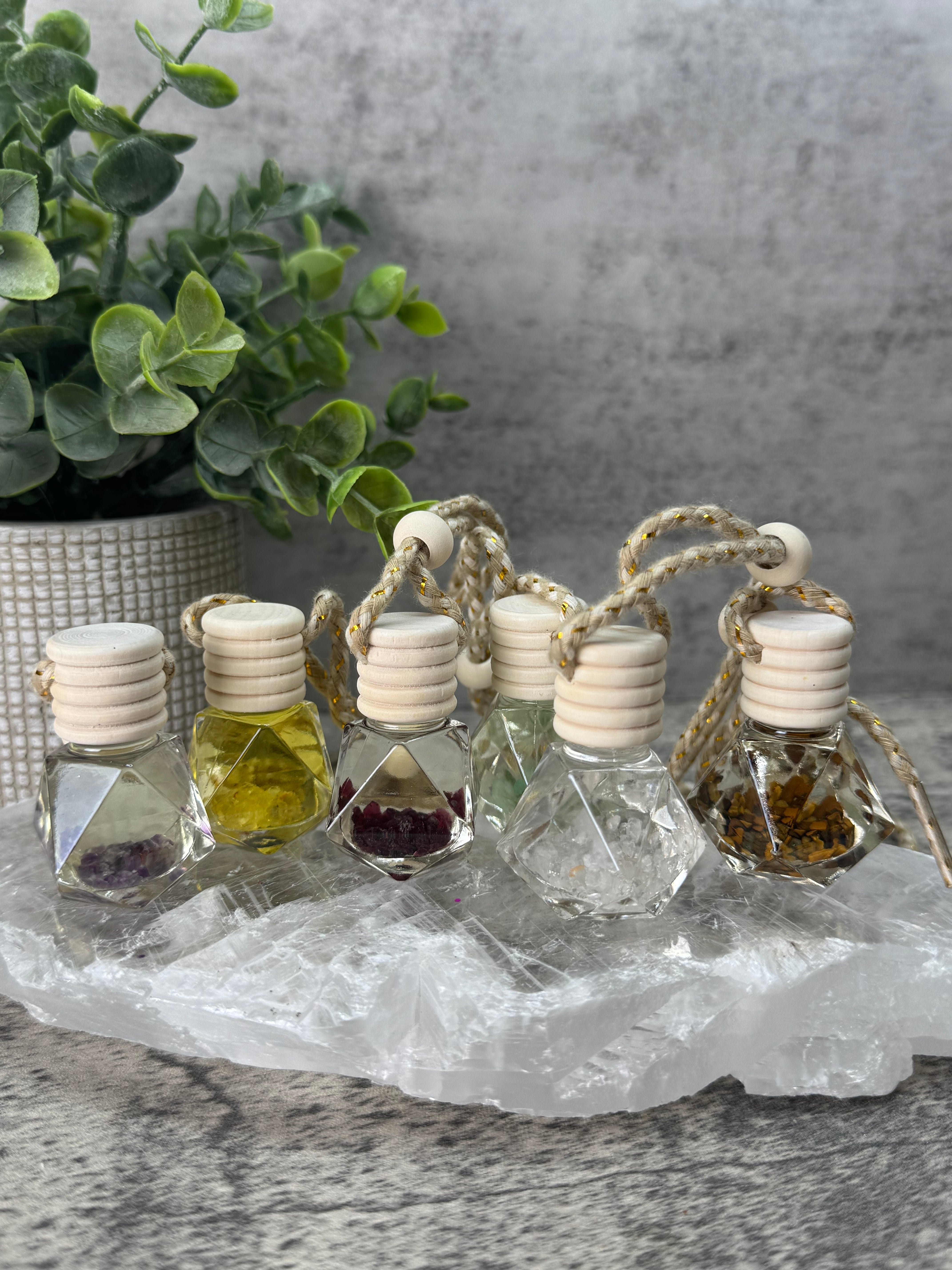 Car Diffusers – The Wax Lab